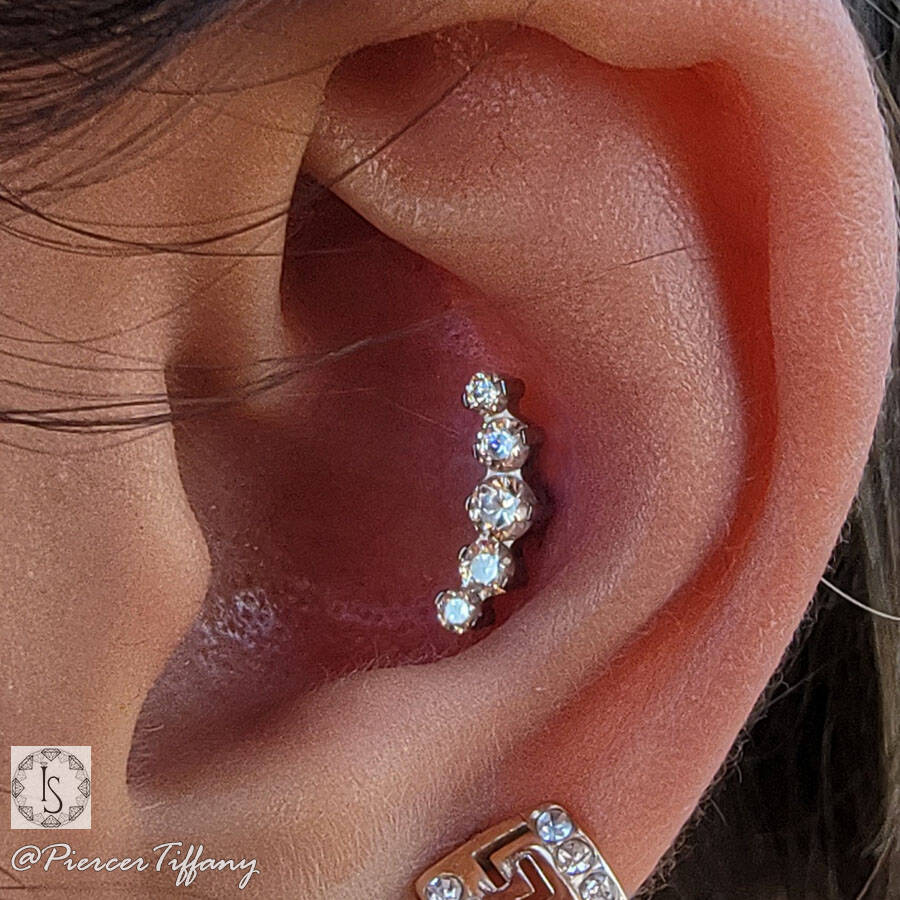 Conch or Outer Conch/Snonch
